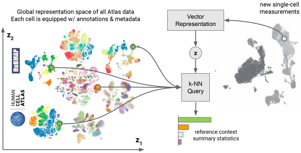 Current and Future Features