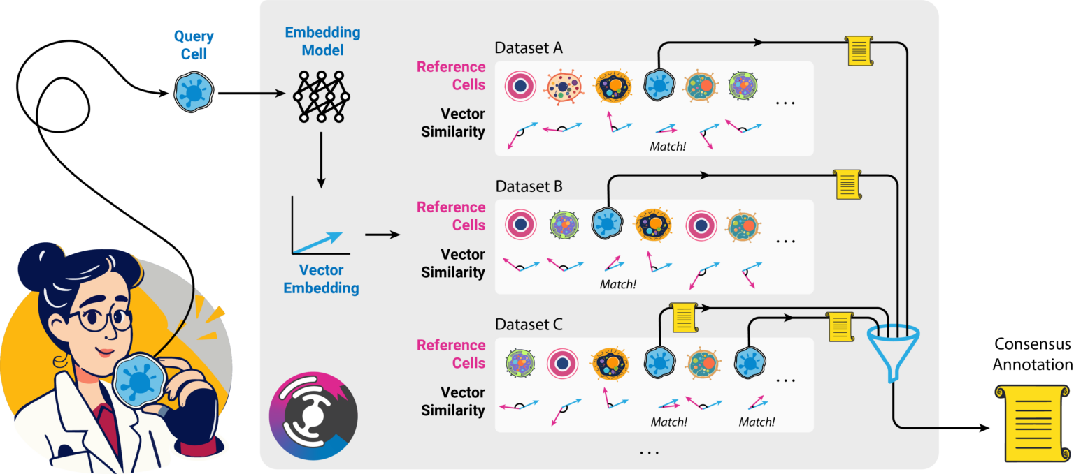 What is Cellarium Cell Annotation Service (CAS)?