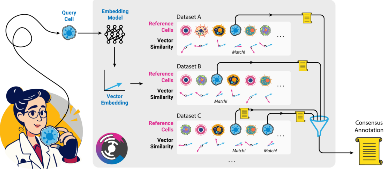 What is Cellarium Cell Annotation Service (CAS)?